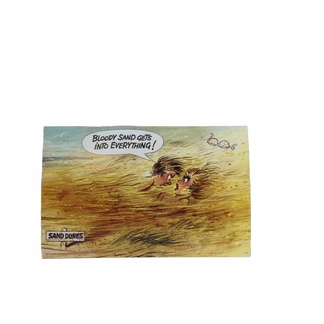 VINTAGE SAUCY SEASIDE Bamforth Comic Postcard, Black Triangle No. 662 ...