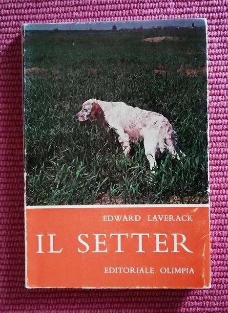 EDWARD LAVERACK IL Setter Caccia Cinofilia Cane Presentazione Di Giulio ...