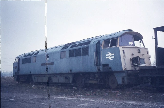 ORIGINAL SLIDE BR Class 52 Diesel Loco D1012 'WESTERN FIREBRAND ...
