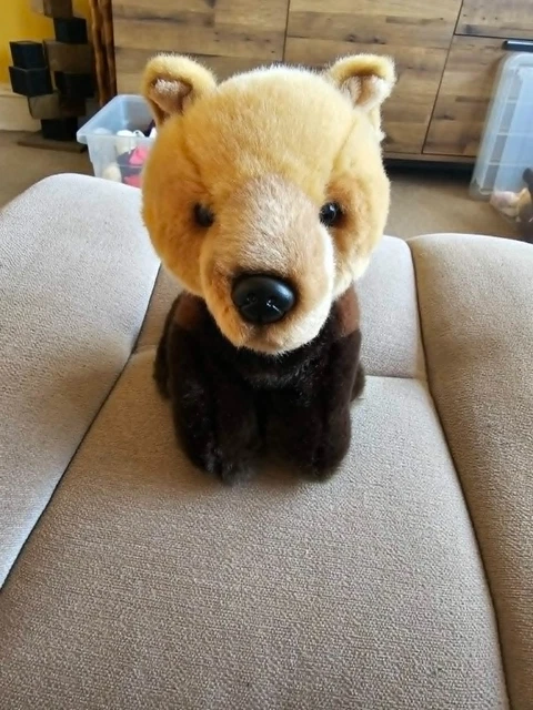 CHESTER ZOO BEAR Plush Toy - Preowned! £2.23 - PicClick UK