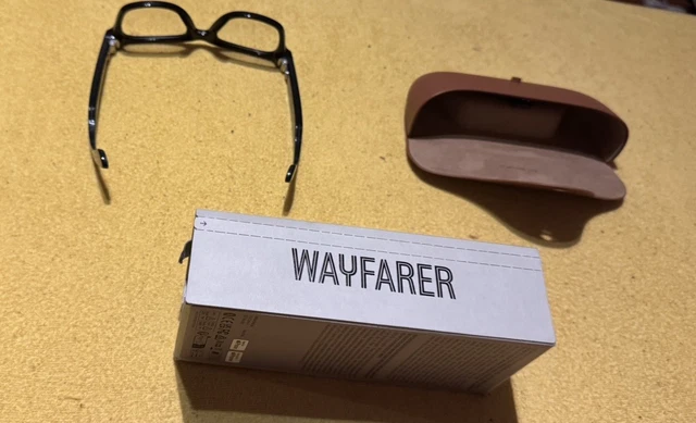 RAY-BAN META WAYFARER selten genutzt, ohne Stärke und Tönung EUR 249,00 ...