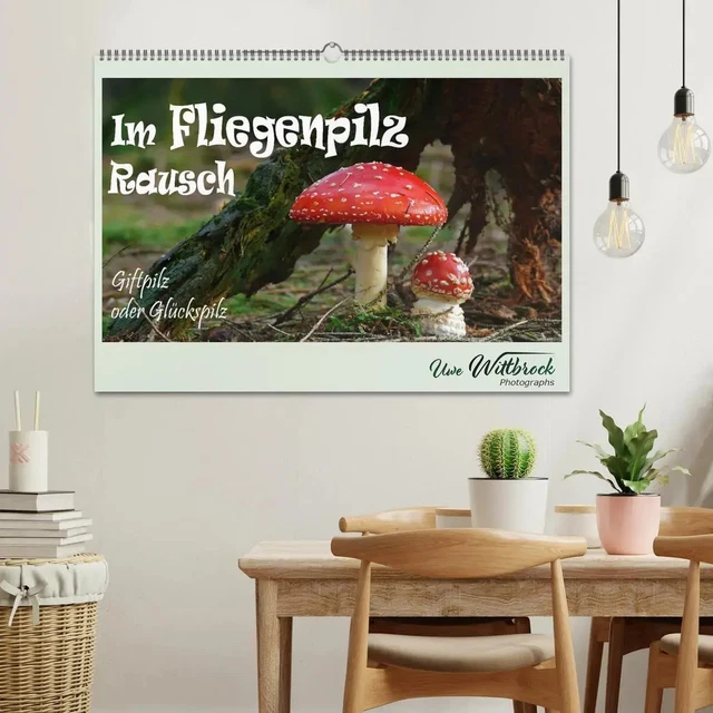 UWE WITTBROCK | Im Fliegenpilz Rausch (Wandkalender 2026 DIN A2 quer ...