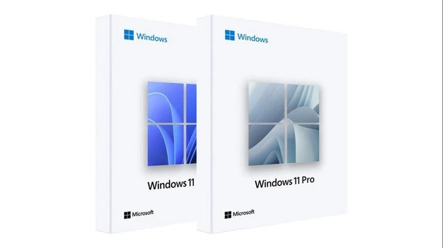WINDOWS 11 PRO DVD with Key Lifetime activation £75.82 - PicClick UK