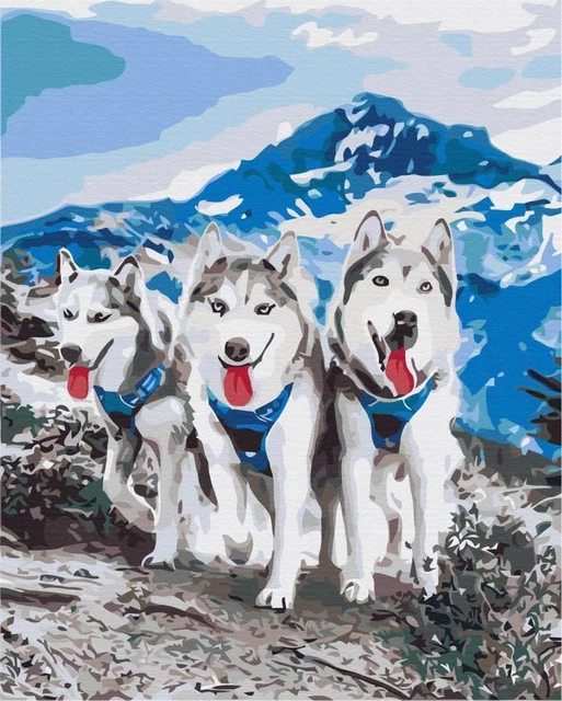 PEINTURE PAR NUMÉROS cadre en bois Husky Friends EUR 7,74 - PicClick FR