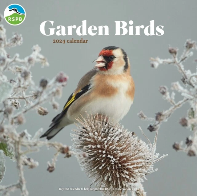 RSPB GARDEN BIRDS Square Wall Calendar 2024 - New Calendar - B245z EUR ...