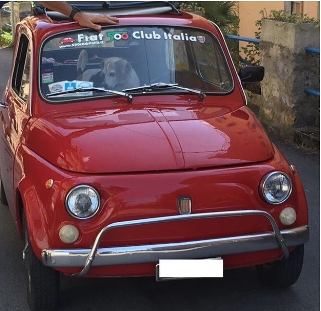 FIAT 500 L Epoca - Anno 1970 - Targhe e libretto originali EUR 6.500,00 ...