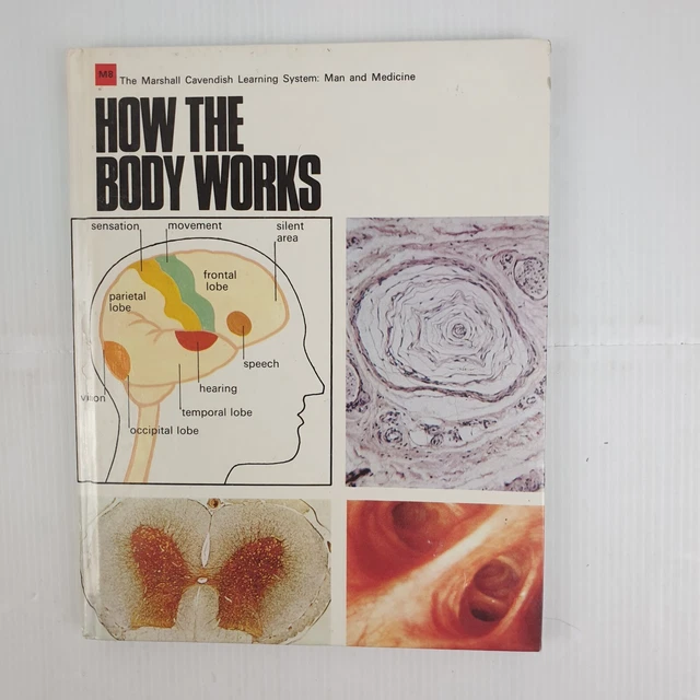 HOW THE BODY Works By Marshall Cavendish, Learning System: Man And ...