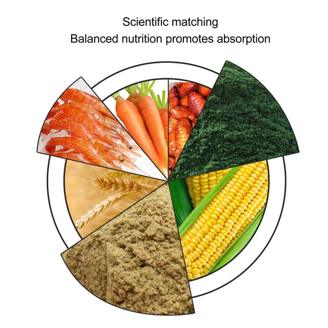 BETTA FISH FOOD Color Enhancing Easy Digestion Fish Feed For Aquarium 2 ...