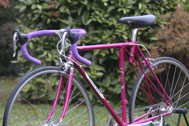 VINTAGE TREVOR JARVIS Flying Gate Racing Bike,Diana Model.beautiful ...