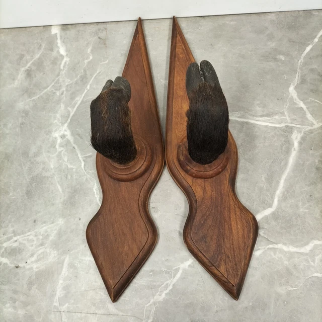 VINTAGE FRENCH GUN Rack Taxidermy Wild Boar Hooves Hooks Coat Rack Gun ...