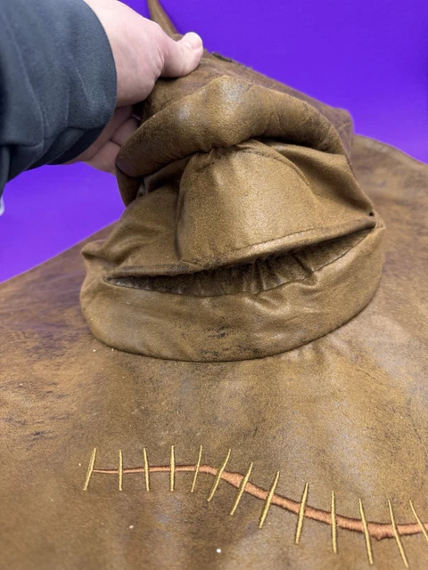 HARRY POTTER ADULT Womens Tattered Fabric Witch Wizard Scarecrow ...