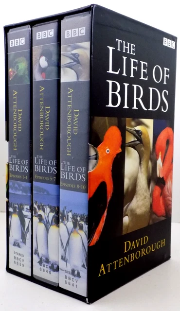 DAVID ATTENBOROUGH'S LIFE Of Birds - VHS Tape Box Set (1998) BBC Almost ...