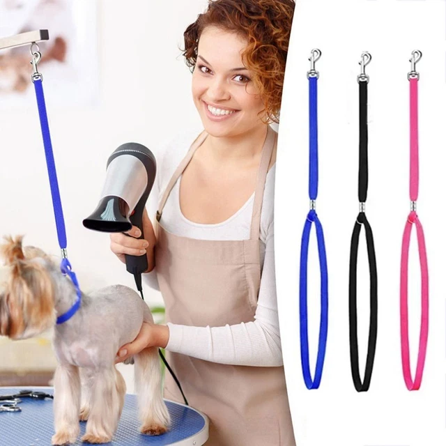ADJUSTABLE DURABLE DOG Leash Nylon Pet Noose Loop Lock Clip Harness ...
