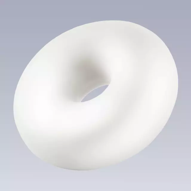 PESSARY DONUT BIOTEQUE America - Donut Pessary All Sizes $66.97 ...