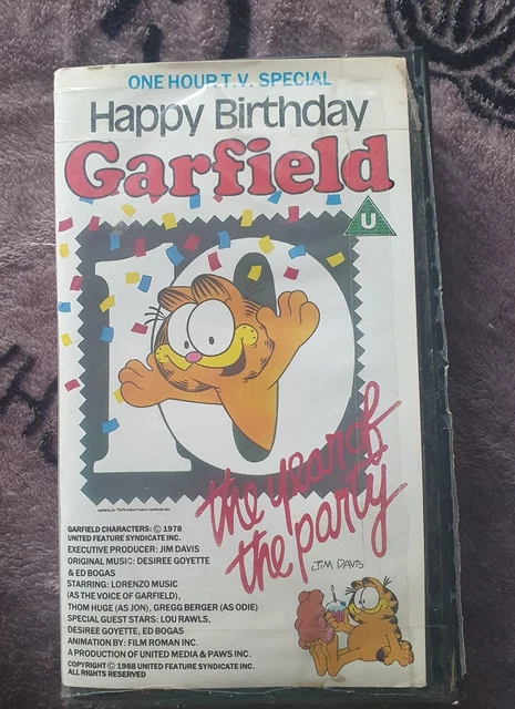RARE 1988 HAPPY 10TH BIRTHDAY GARFIELD VHS VIDEO The Year Of The Party ...