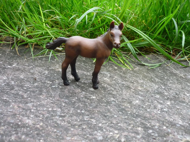 SCHLEICH PFERD 2003 Fohlen Araber dunkel braun 13276 Made in Germany EUR 2,49 - PicClick DE