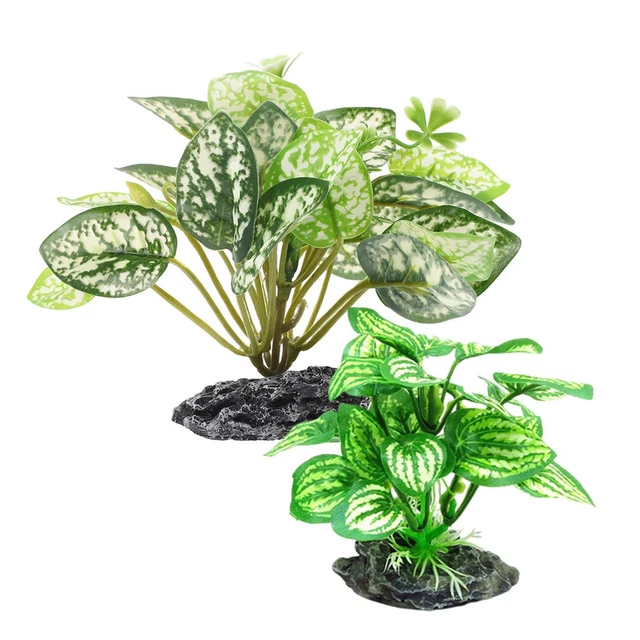 2 PCS AQUARIUM Decor Ornaments Landscaping Betta Fish Tank Accessory ...