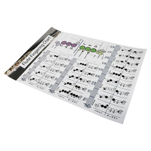 EDUCATIONAL CHART FLUTE Cheat Sheet Chord Chart Beginner £13.95 ...
