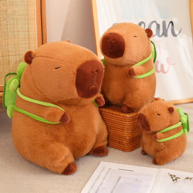 FLUFFY CAPYBARA DOLL with Tortoise Funny Animal Throw Pillow Cute for ...
