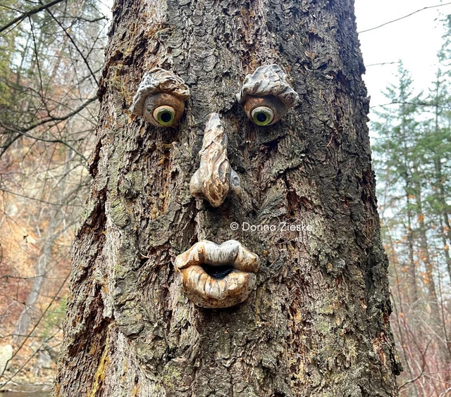 &FORREST STUMP& CONCRETE Whimsical Forest Face by Dorina Zieske Art $50 ...