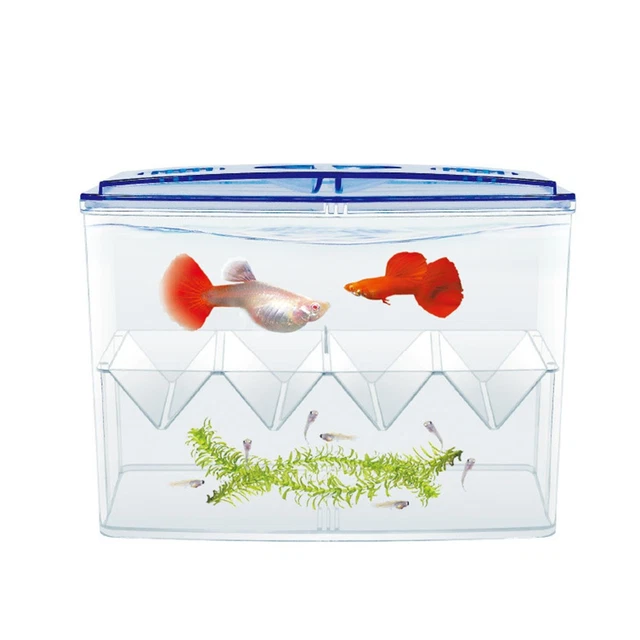 SMALL FISH BREEDING Box Hatching Tank Aquarium Trap Ornamental ...