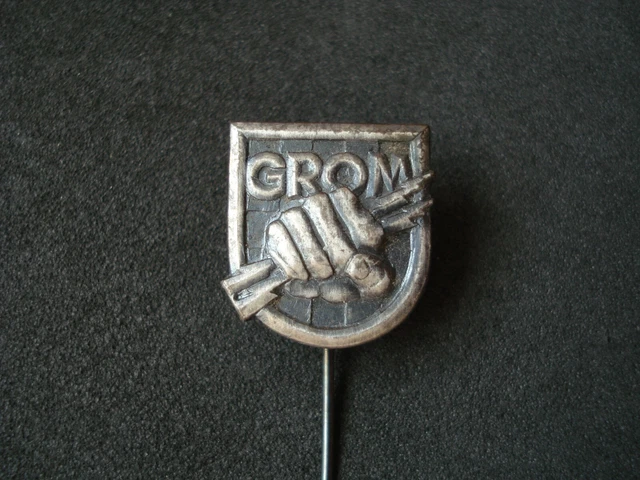 CROATIA ARMY, HV, 2. Guard Brigade - Grom, Thunder, pin; military $37. ...