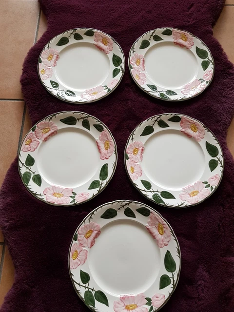 5 SPEISETELLER FLACH 26 Cm Durchmesser Wild Rose Villeroy & Boch Top Zustand EUR 37,50 - PicClick DE