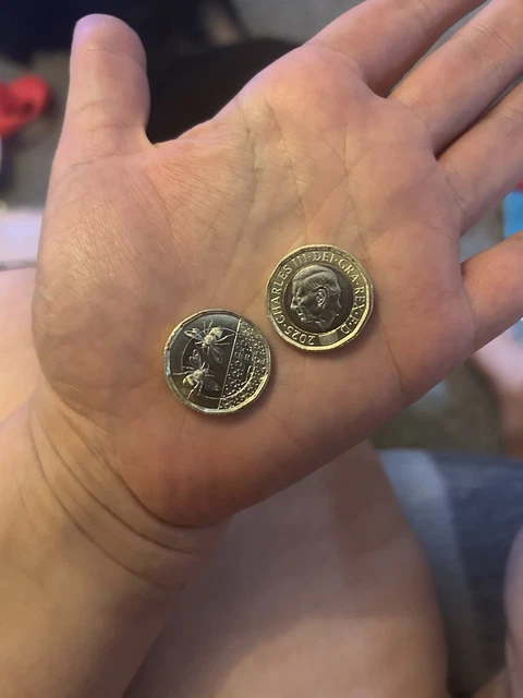 RARE KING CHARLES Bee 2025 Pound Coins Royal Mint £5.45 - PicClick UK