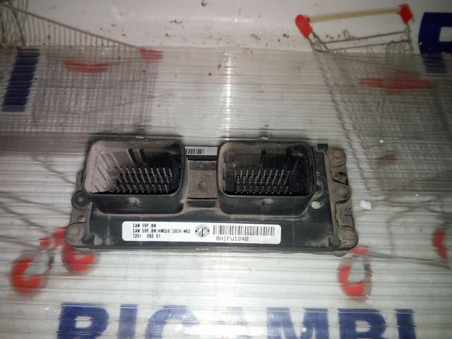 CENTRALINA MOTEUR ENGINE ECU Fiat Palio 1.2 8V Code: IAW59F.BW EUR 182 ...