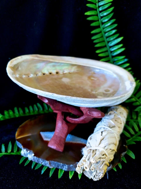 ABALONE SHELL AND Stand. Smudging Tool. Wicca. Witchcraft. Incense ...