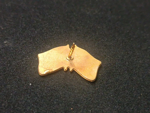 SPILLA PINS DISTINTIVO Stemma Simbolo Badge Logo Crest World Cup Italia ...