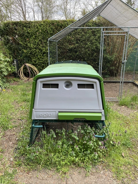 EGLU OMLET MIT Gehege (2x3m) EUR 700,00 - PicClick DE