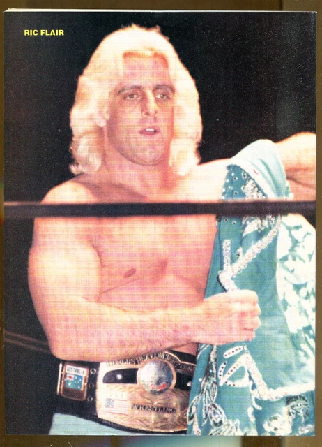 DOUBLE ACTION WRESTLING Magazine #1-1986-Hulk Hogan, Debbie Combs, Bobo ...