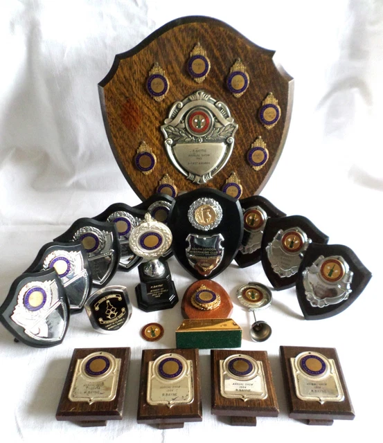 VINTAGE TROPHY SHIELDS Trophies for Winemaking Award Shield 1960's £13. ...