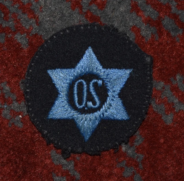 ROYAL NAVY WOMEN'S Royal Naval Service (WRNS) Officer's Steward WREN ...