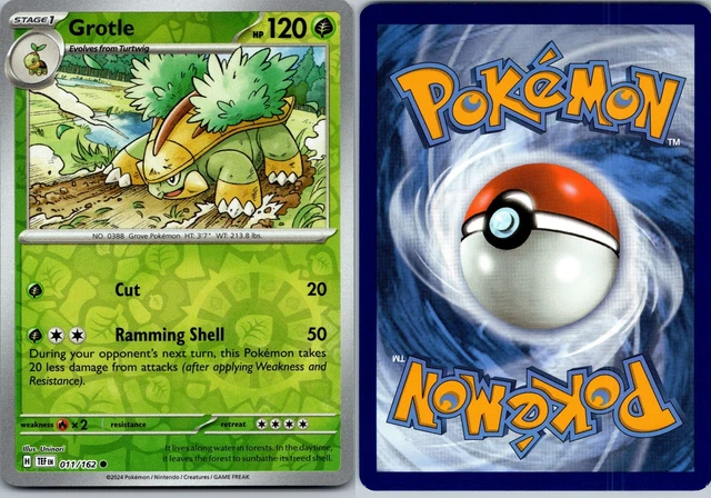 POKÉMON TCG GROTLE – Temporal Forces (TEF) – Reverse Holo – N £1.42 ...