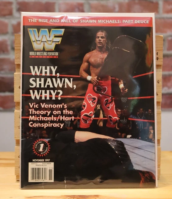 ORIGINAL WWF WWE Vintage Wrestling Magazine HBK/Undertaker (May 1997 ...