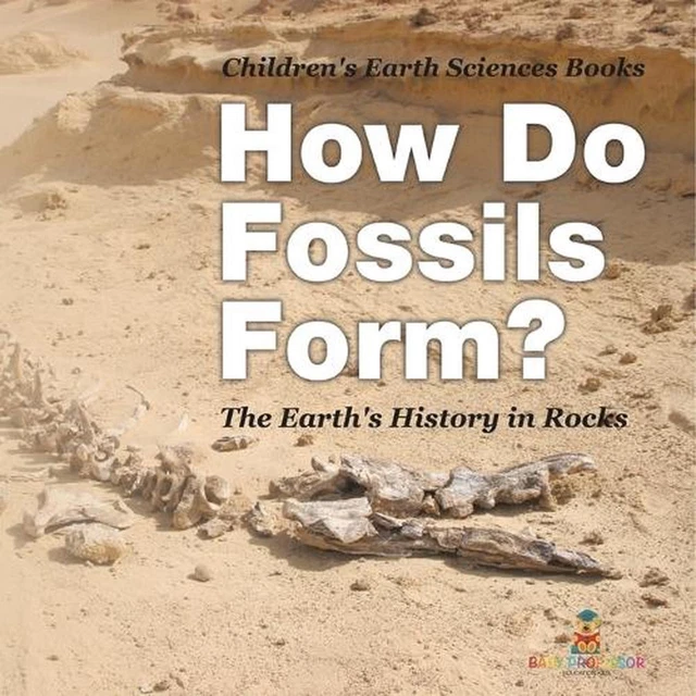 HOW DO FOSSILS Form? The Earth's History in Rocks Children's Earth ...