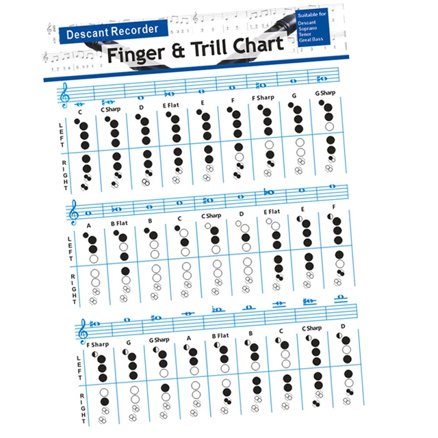 FLUTE CHORD CHART Practice Chord Chart For Flute Guitar Chord Poster £9 ...