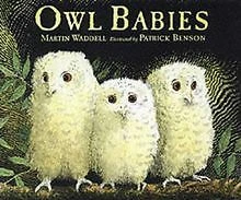 OWL BABIES (LITTLE Favourites) von Martin Waddell | Buch | Zustand gut ...