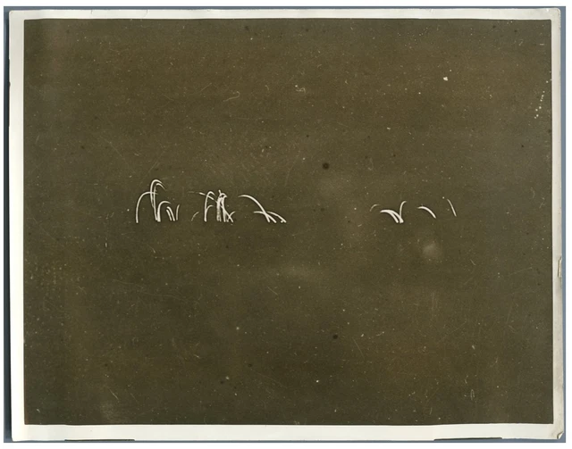 WORLD WAR I - Alies fighting line in France, during the night time ...