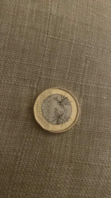 EXTREMELY RARE BEE Pound Coin 2025 Royal Mint £104.70 - PicClick UK