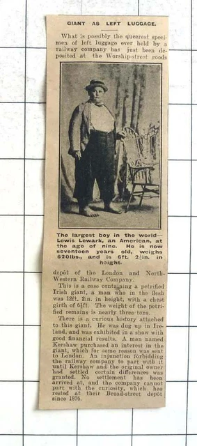 1903 LARGEST BOY In The World Lewis Lewark, Irish Giant Left Luggage £5 ...