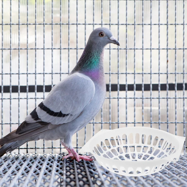 10 PCS NID D'élevage De Pigeons Cabane D'oiseaux Cage À Pinsons Tapis Pour Bol EUR 16,95 ...