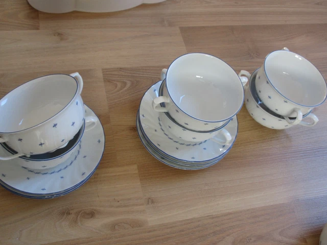 Seltmann Weiden Regina Blau