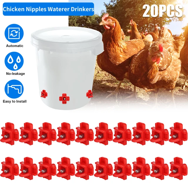 Quail Waterer And Feeder COMBO*LARGE RITE FARM PRODUCTS 2.6 GAL & 13 ...