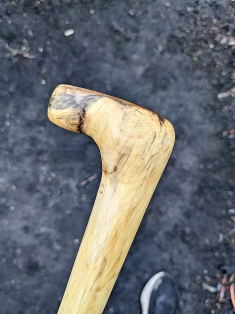 ENGLISH YEW WALKING Stick Beautiful Unique Shillelagh Cane Sap Wood ...