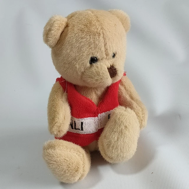 RNLI SITTING TEDDY Bear in Life Jacket 6” Plush Lifeboats Official ...