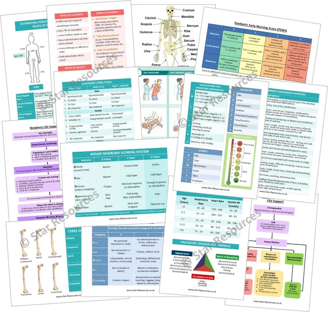 PAEDIATRIC PATIENT ASSESSMENT Flash Cards Paramedic, ECA, Student ...