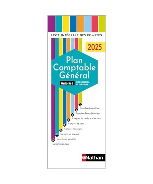 PLAN COMPTABLE GÉNÉRAL 2025 EUR 8,69 - PicClick FR